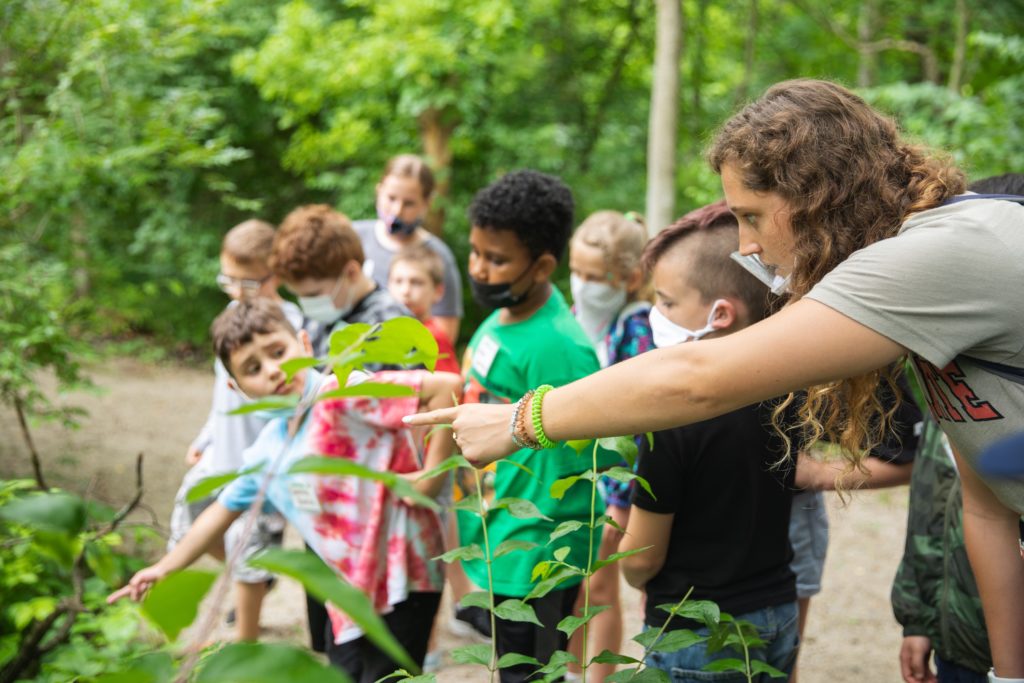 Worried about children spending too much time on technology? - Summer ...