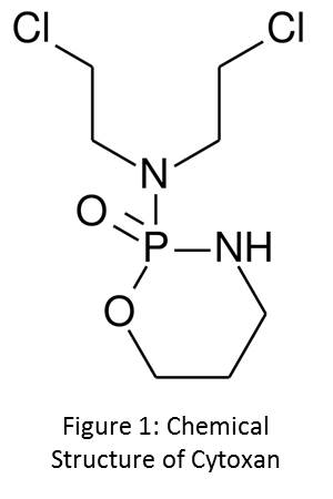Chemotherapy Treatments are Evolving! - Early Navigation through ...