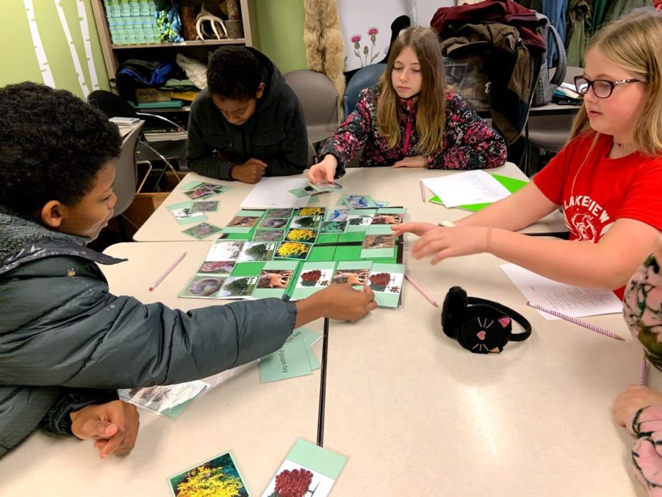 Sixth Grade - Environmental Education Resources